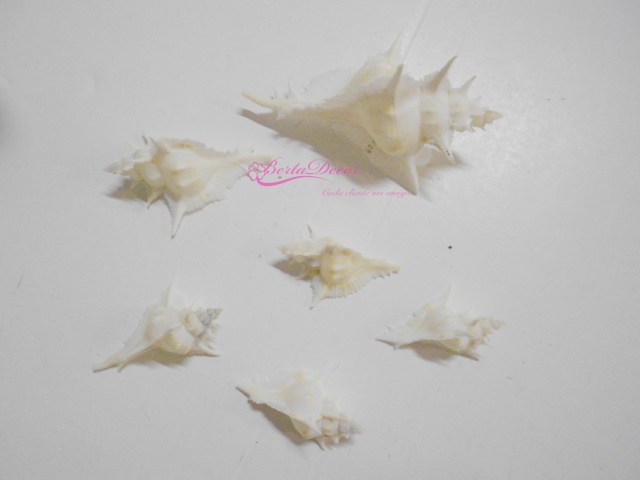 Pac. Murex Alabaster – Berta Decor